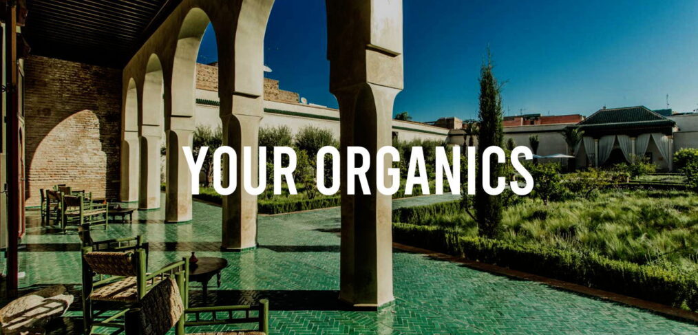 ニュース＆イベント - YOUR ORGANICS